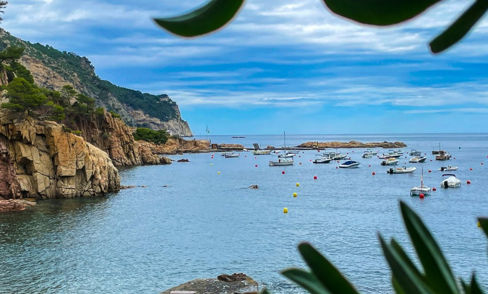 Iles Medes : Plongée et excursion aux îles Medes depuis l'Estartit