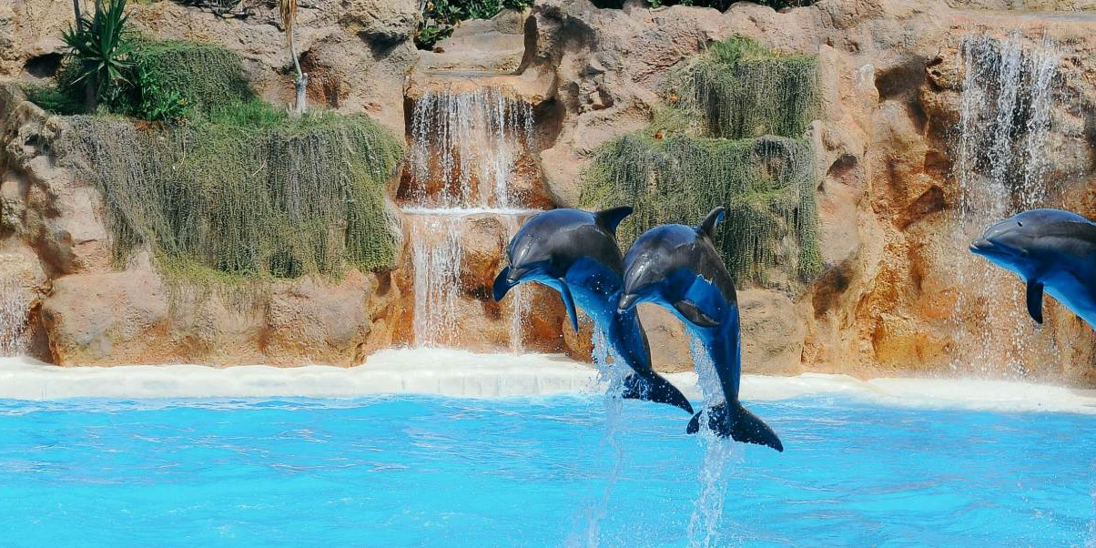 Marineland Spagna: informazioni, visita e prezzi del parco Marineland ...